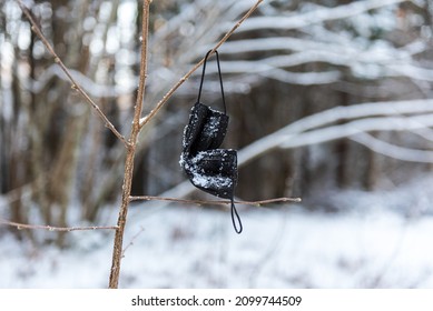3,433 Tree Branch Litter Images, Stock Photos & Vectors | Shutterstock