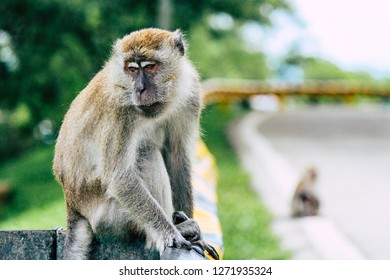 378 Random Poses Stock Photos, Images & Photography | Shutterstock