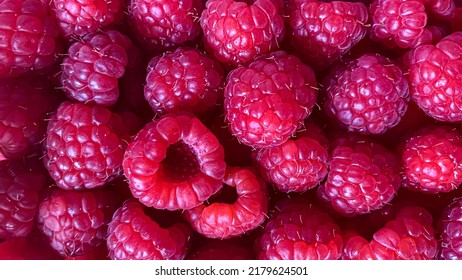16,187 Raspberry frame Images, Stock Photos & Vectors | Shutterstock