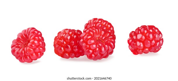 Raspberry Front View Isolated On White Stock Photo 2021646740 ...