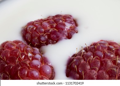 Capillary Hemangioma Red Birthmark On Babys Stock Photo (Edit Now ...