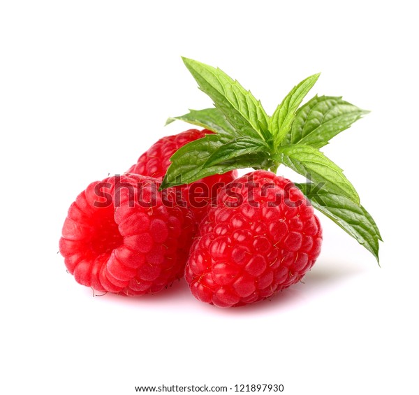 Raspberry Mint Stock Photo 121897930 | Shutterstock