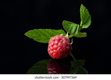 116,705 Raspberry black background Images, Stock Photos & Vectors ...