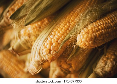 Raw Ear Corn Texture Background Fresh Stock Photo 1714897330 | Shutterstock