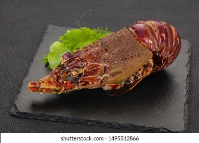 Langust Images, Stock Photos & Vectors | Shutterstock