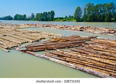 3,736 Floating log Images, Stock Photos & Vectors | Shutterstock