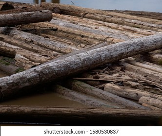 Raw Logs Floating Down River Wood Stock Photo (Edit Now) 1580530837