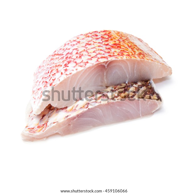 Raw Red Snapper fish fillets isolated on a white studio background.