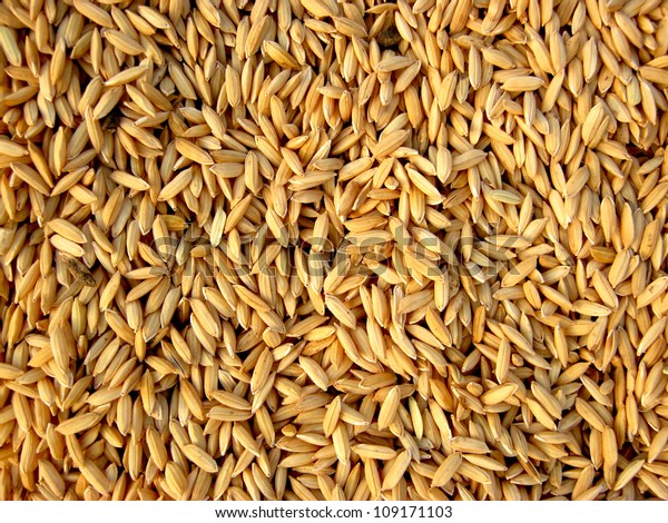 Raw Rice Stock Photo (Edit Now) 109171103