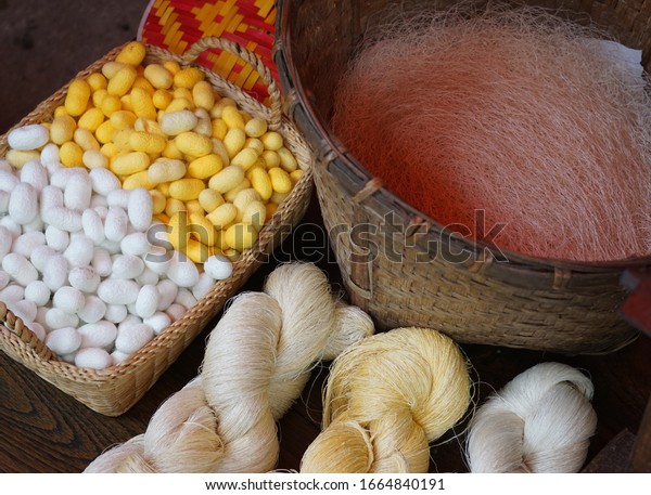 Raw Silk Thread Silkworm Cocoons On Stock Photo (Edit Now) 1664840191