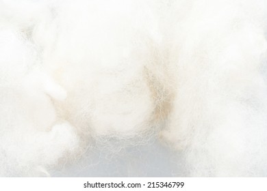 278 Cashmere raw Images, Stock Photos & Vectors | Shutterstock