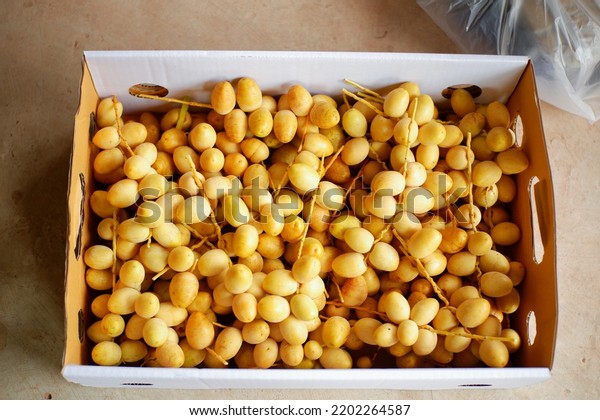 Raw Yellow Date Palm Dates Healthy Stock Photo 2202264587 | Shutterstock