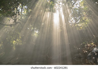 Rays Light Stock Photo 602241281 | Shutterstock
