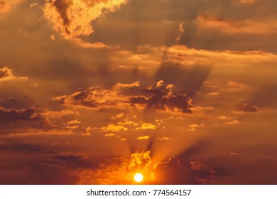 Rays Sun Make Their Way Through Stock Photo 774564157 | Shutterstock