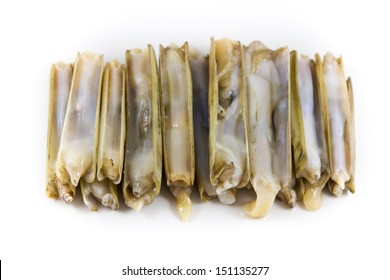2,752 Razor shell Images, Stock Photos & Vectors | Shutterstock