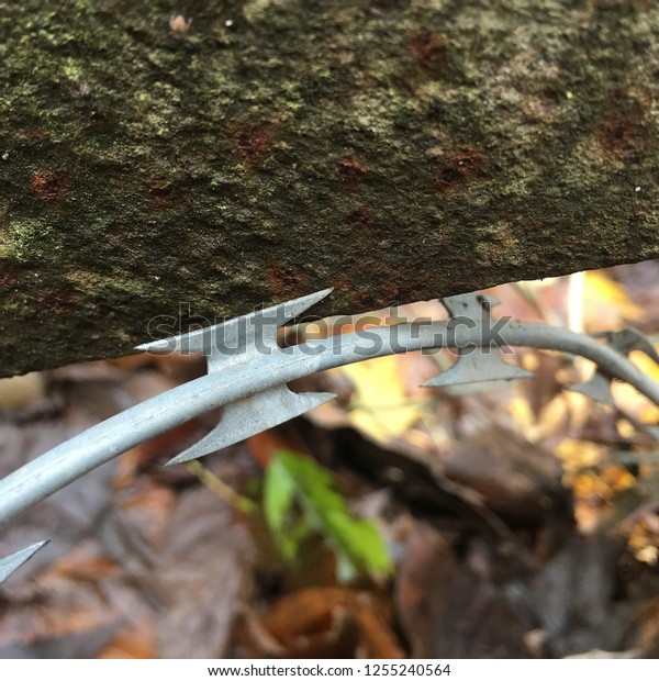 Razor Wire On Rusting Chain Mail Stock Photo 1255240564 | Shutterstock