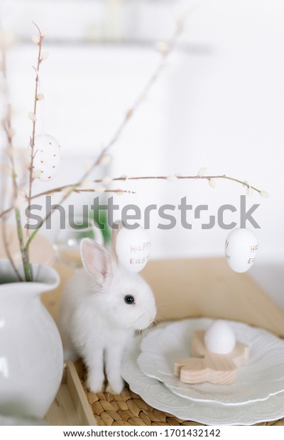 Real Bunny Easter Eggs Cozy Interior Stock Photo 1701432142 | Shutterstock