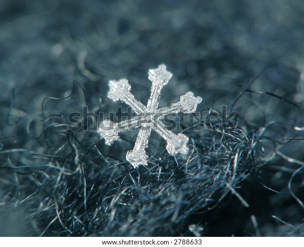 Real Snowflake Stock Photo (Edit Now) 2788633