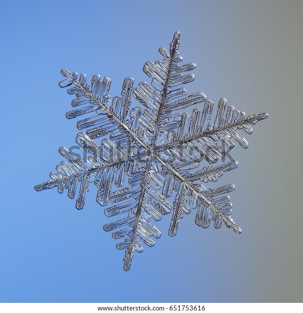 Real Snowflake Macro Photo Very Big Stock Photo 651753616 | Shutterstock