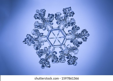 Real Snowflake Microscope Shot Stock Photo 1597861366 | Shutterstock