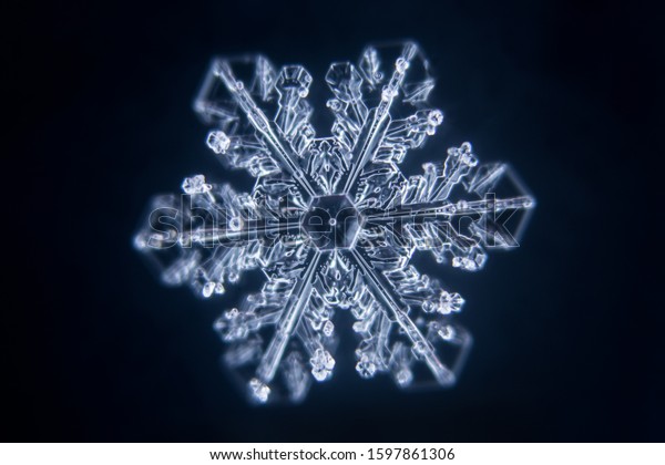 Real Snowflake Microscope Shot Stock Photo 1597861306 | Shutterstock