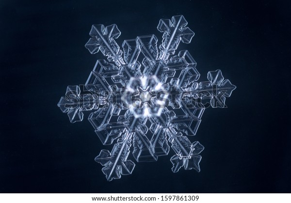 Real Snowflake Microscope Shot Stock Photo 1597861309 | Shutterstock