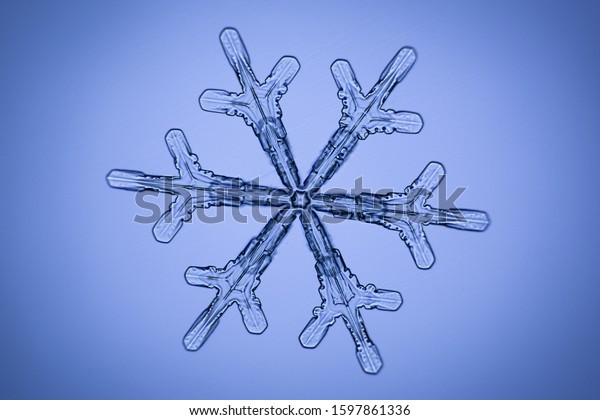 Real Snowflake Microscope Shot Stock Photo 1597861336 | Shutterstock