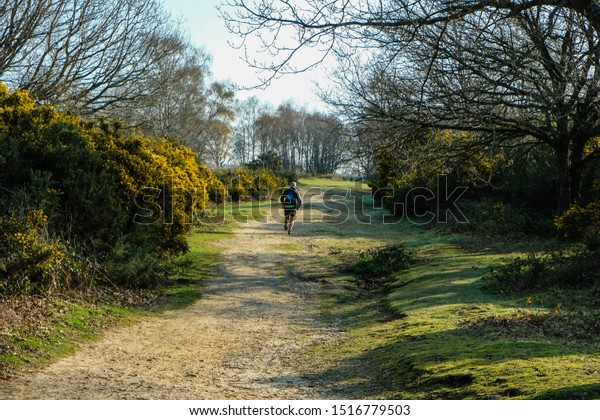 Rear View Distant Lone Runner On Stock Photo 1516779503 | Shutterstock