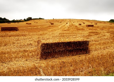 597 Square Bails Images, Stock Photos & Vectors | Shutterstock