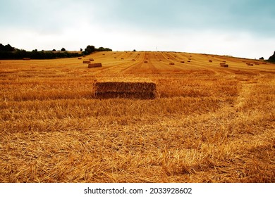 597 Square Bails Images, Stock Photos & Vectors | Shutterstock