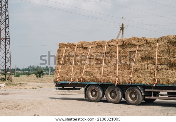 213 Mop Hay Bilder, Stockfotos und Vektorgrafiken | Shutterstock