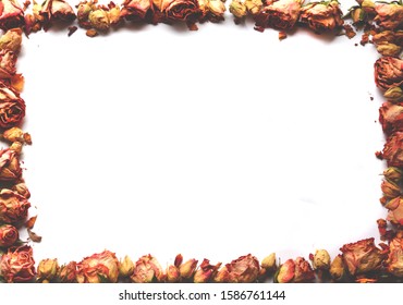 Rectangular Pink Dried Roses Frame Isolated Stock Photo 1586761144 ...