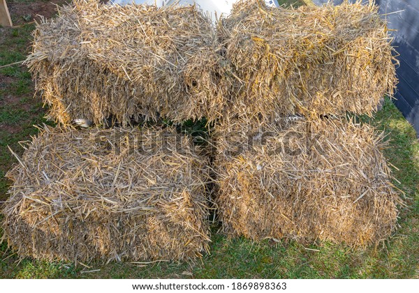 Rectangular Shape Hay Bale Farm Agriculture Stock Photo 1869898363 ...