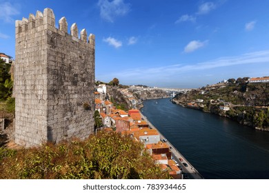 196 Fernandina wall 이미지, 스톡 사진 및 벡터 | Shutterstock