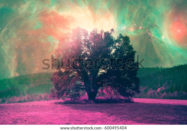 Red Alien Landscape Alone Tree Over Stock Photo 600495404 | Shutterstock