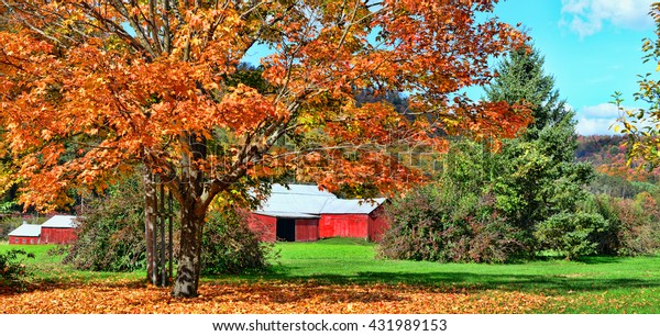 Red Barn Fall Stock Photo 431989153 | Shutterstock