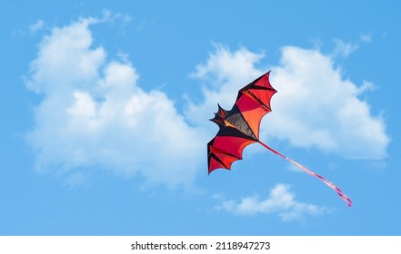 273 Bat kites Images, Stock Photos & Vectors | Shutterstock