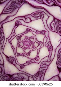 Red Cabbage Cross Section Stock Photo (Edit Now) 1204074544