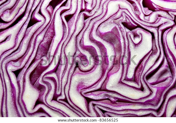 Red Cabbage Cross Section Texture Stock Photo 83656525 | Shutterstock