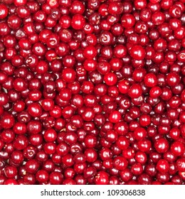 Red Cherry Background Stock Photo 109306838 | Shutterstock