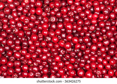 Red Cherry Background Stock Photo 132715037 | Shutterstock