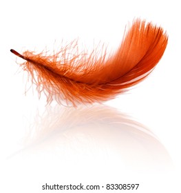 24,086 Feather mirror Images, Stock Photos & Vectors | Shutterstock