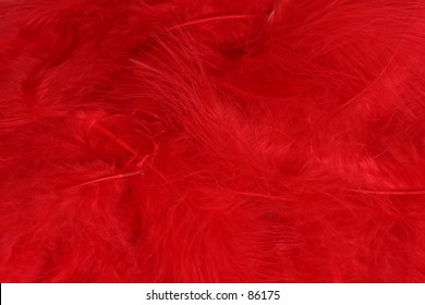 Red Feathers Stock Photo 86175 | Shutterstock