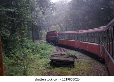 Stock Photo and Image Portfolio by Warunee Teeradatchusak | Shutterstock