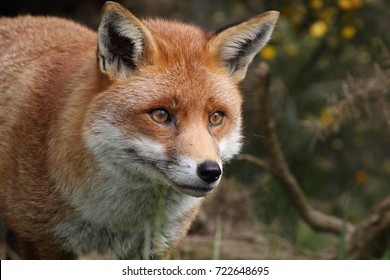 Stock Photo and Image Portfolio by Catherine Rogan | Shutterstock