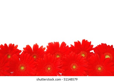6.795 Gerbera Border Bilder, Stockfotos und Vektorgrafiken | Shutterstock