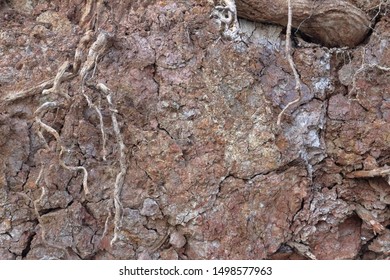 Red Ground Textureground Texture Background Stock Photo 1498577963 ...
