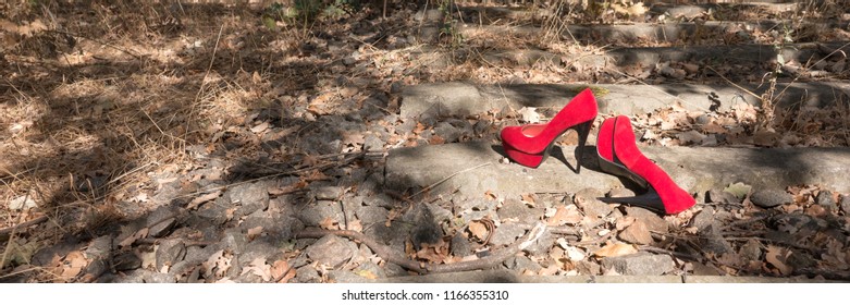 2,085 Woman Missing High Heel Images, Stock Photos & Vectors | Shutterstock