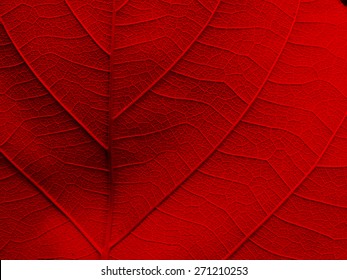 35,363 Red maple leaf black background Images, Stock Photos & Vectors ...