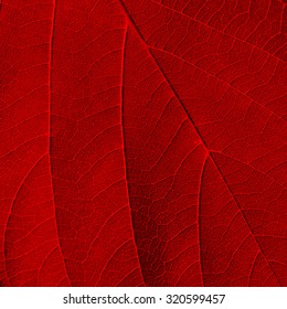1,628,182 Red leaf texture Images, Stock Photos & Vectors | Shutterstock